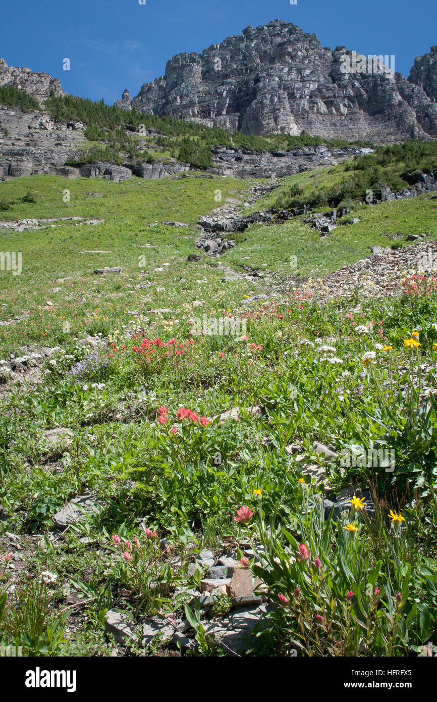 High elevation view hi-res stock photography and images - Alamy