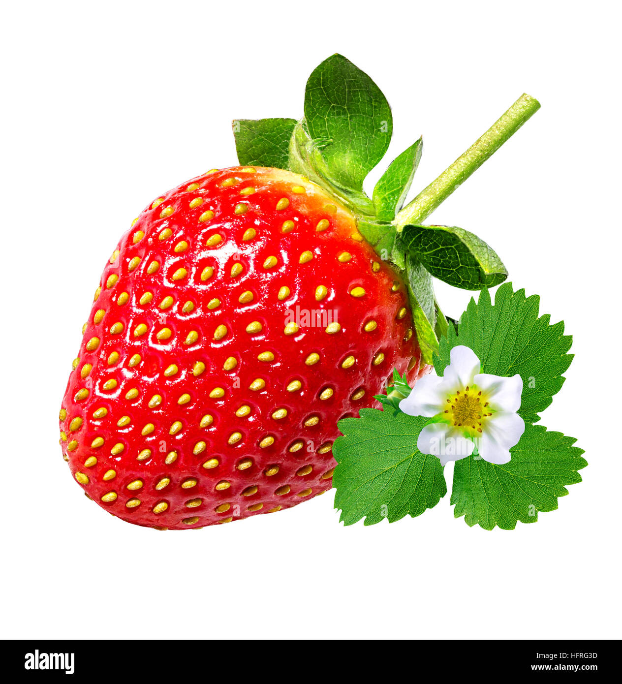 Strawberry on white background Stock Photo - Alamy