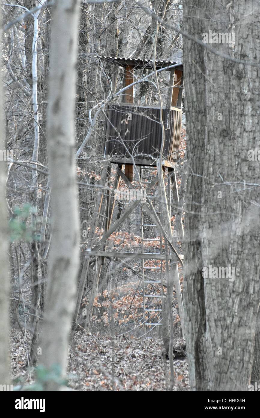 A hunting stand out in the woods Stock Photo - Alamy
