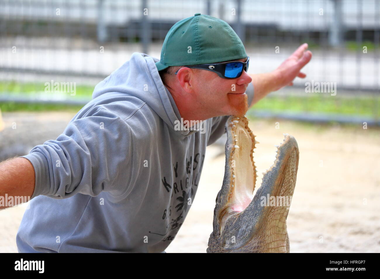 Alligator shows teeth High Resolution Stock Photography and Images - Alamy