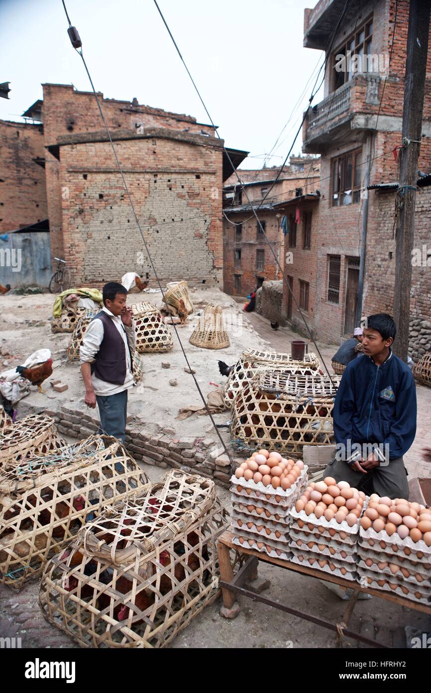 Chicken market live asia hi-res stock photography and images - Alamy