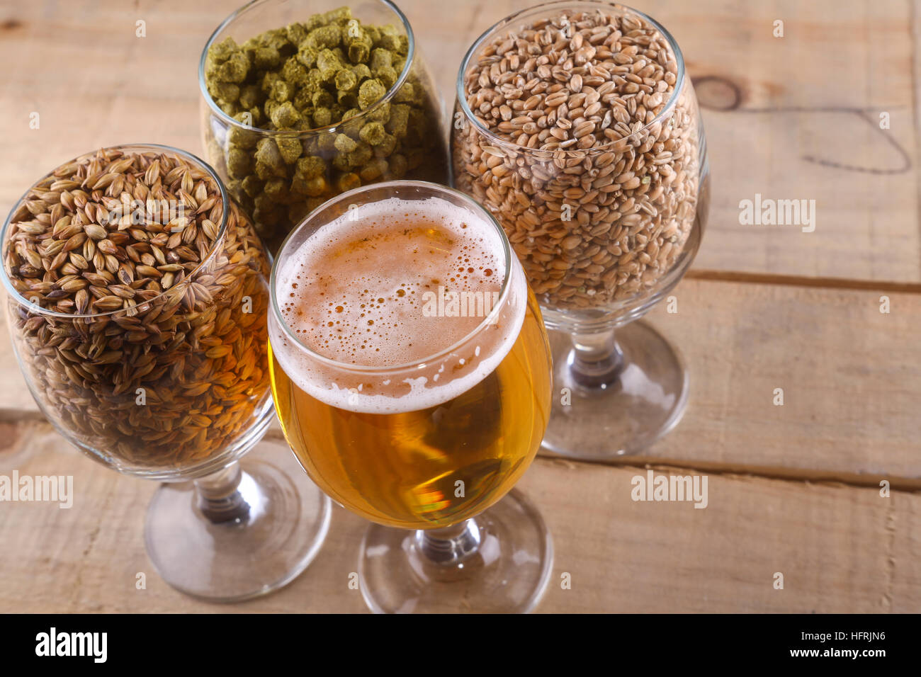 Glasses full of light beer, different types of malt and hops over a ...