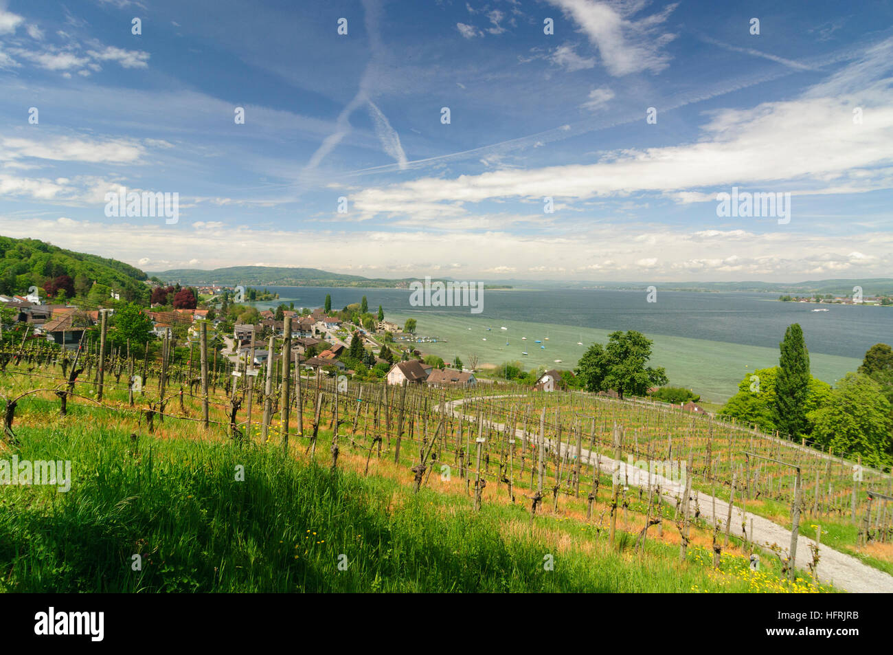 Salenstein: View from Arenenberg Castle to Lake Constance and ...