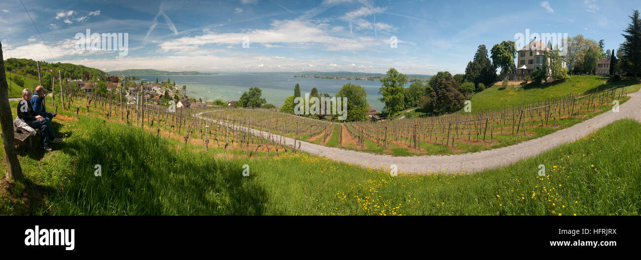 Salenstein: View to the Arenenberg Castle (right), Lake Constance and ...