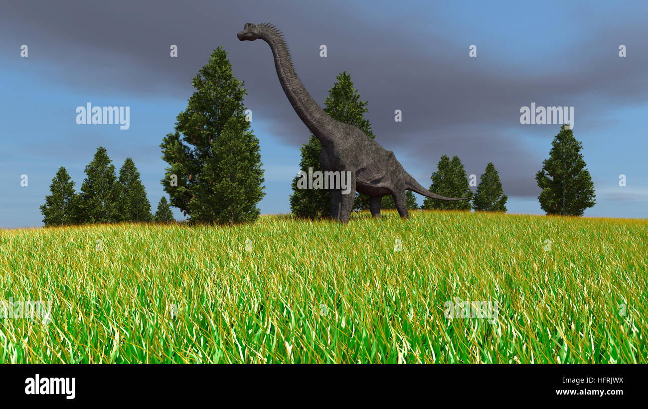 Brachiosaurus grazing hi-res stock photography and images - Alamy
