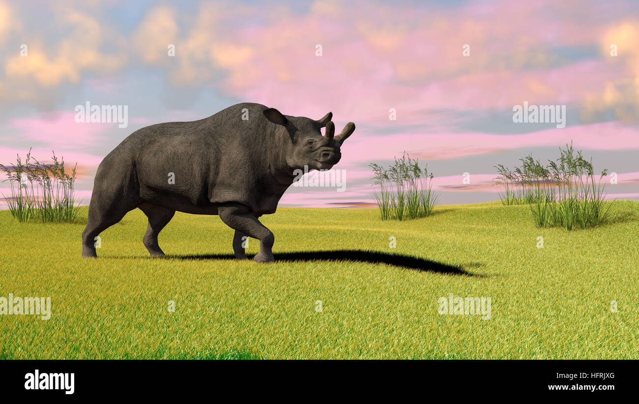 Brontotherium hi-res stock photography and images - Alamy