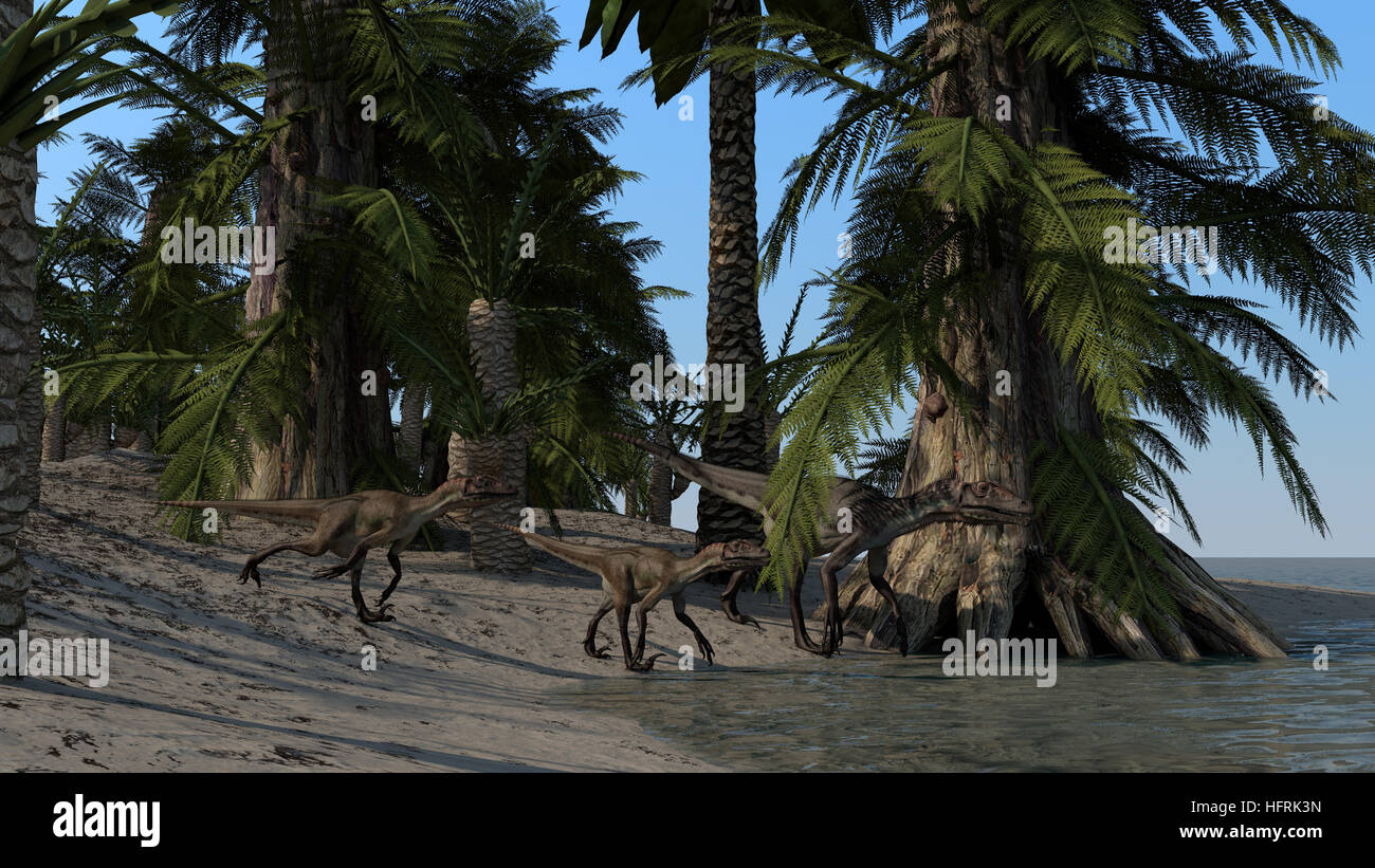 3d illustration of the hunting utahraptor dinosaurus Stock Photo - Alamy
