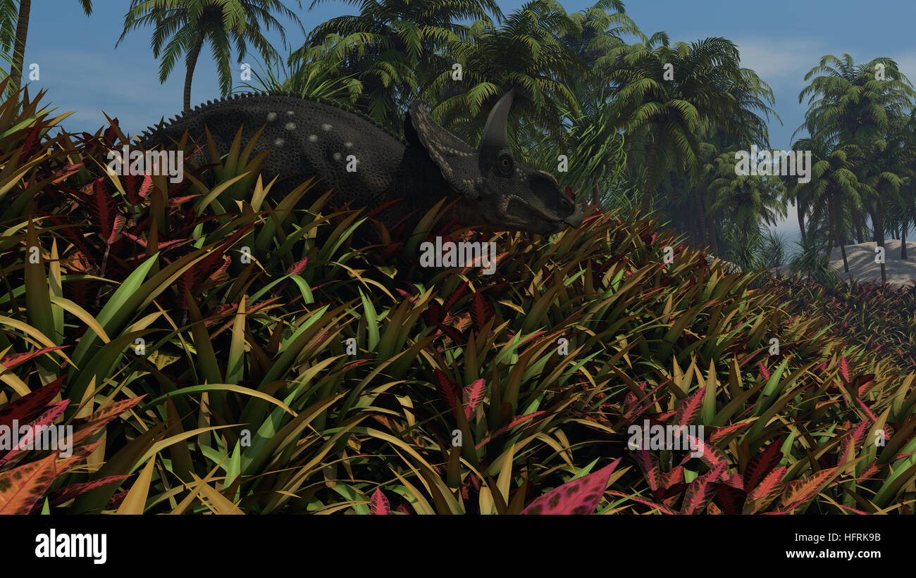 Diceraptor hi-res stock photography and images - Alamy