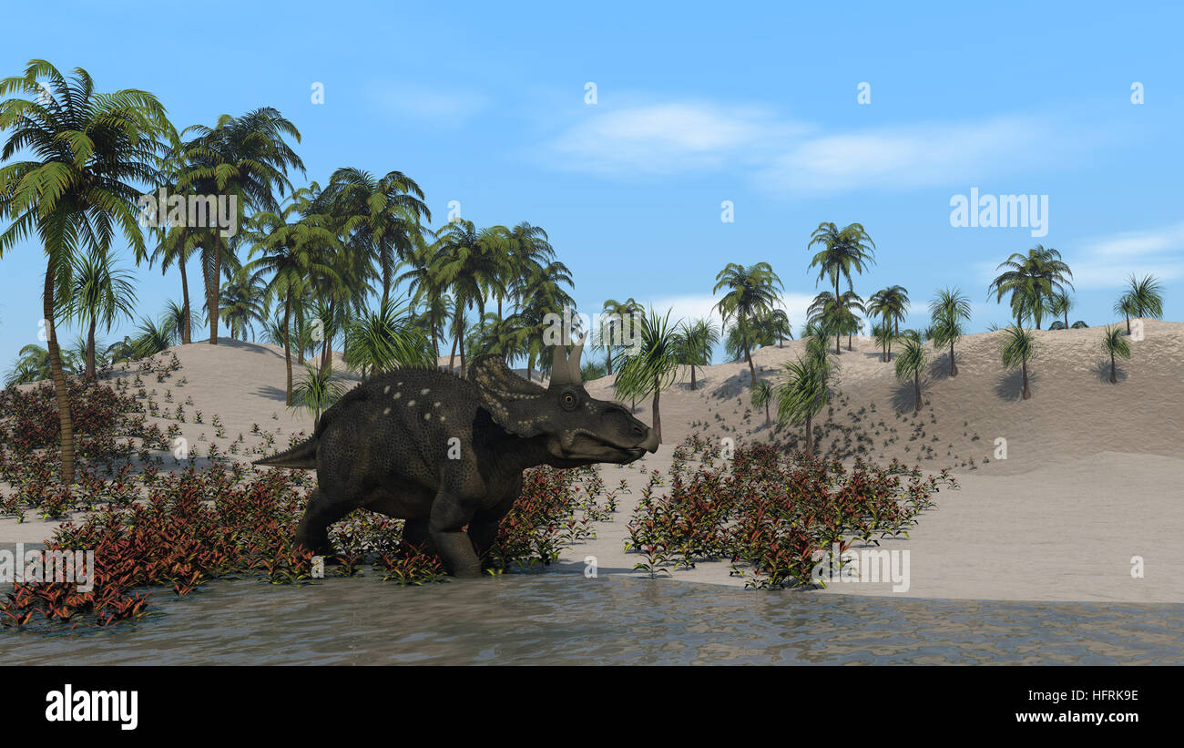 Diceraptor hi-res stock photography and images - Alamy