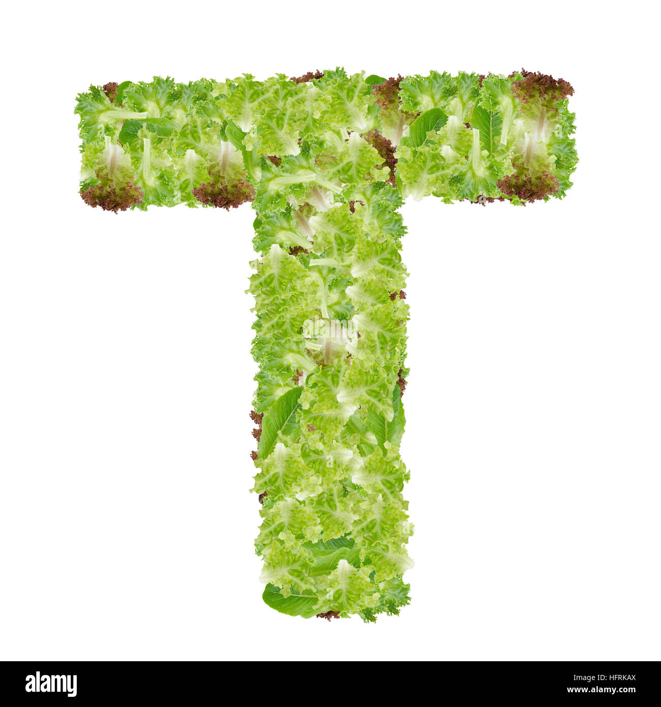 Letter T alphabet with hydroponics leaf ABC concept type as logo ...