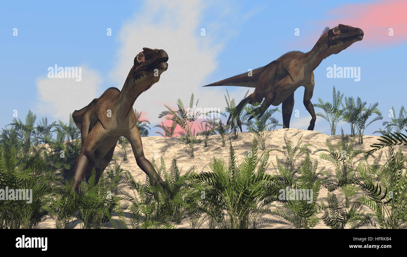 3d illustration of the hunting utahraptor dinosaurus Stock Photo - Alamy