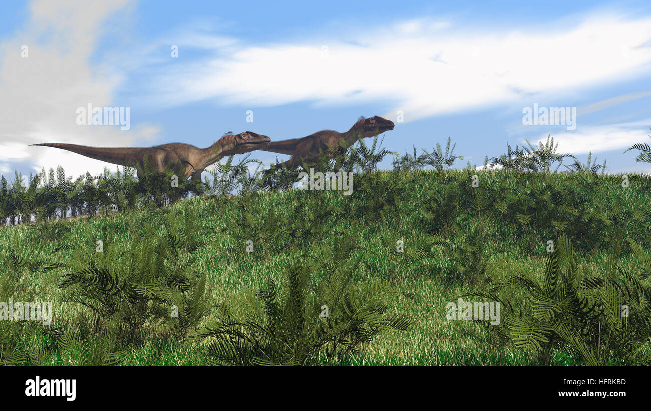 3d illustration of the hunting utahraptor dinosaurus Stock Photo - Alamy