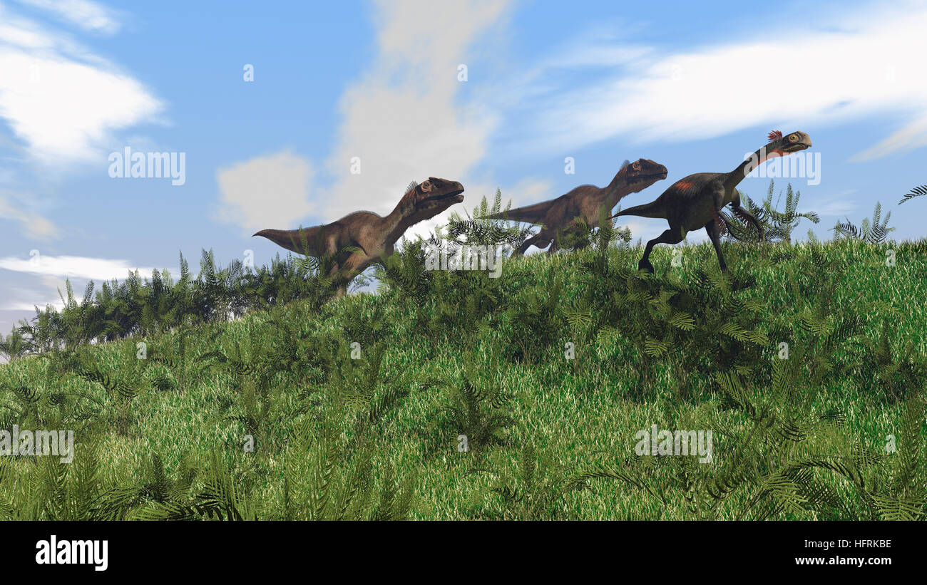 3d illustration of the hunting utahraptor dinosaurus Stock Photo - Alamy