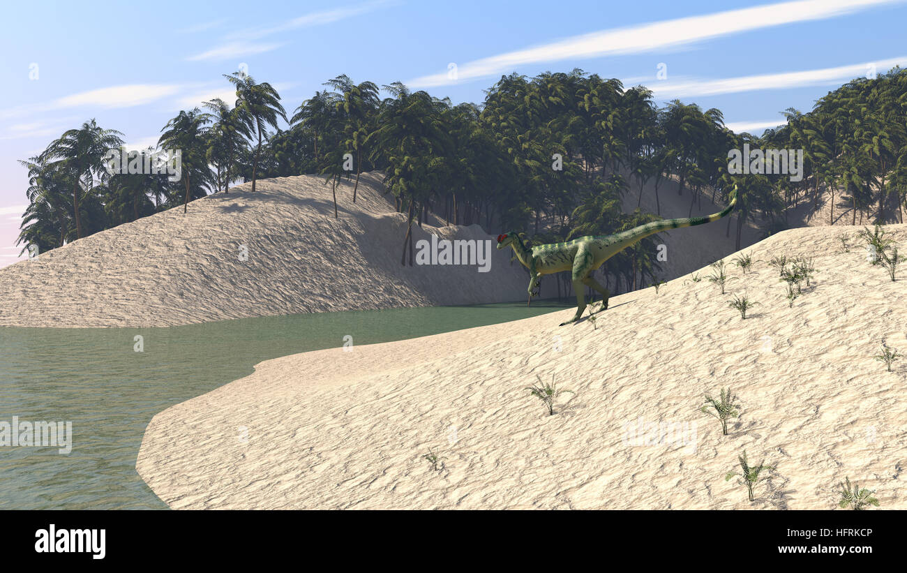 Dilophosaurus hunting dinosaurs hi-res stock photography and images - Alamy