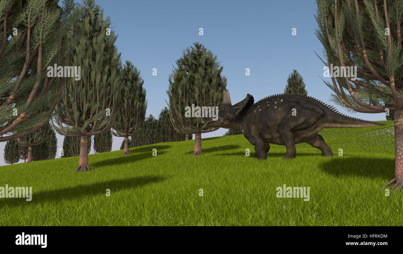 3d illustration of the walking diceratops Stock Photo - Alamy
