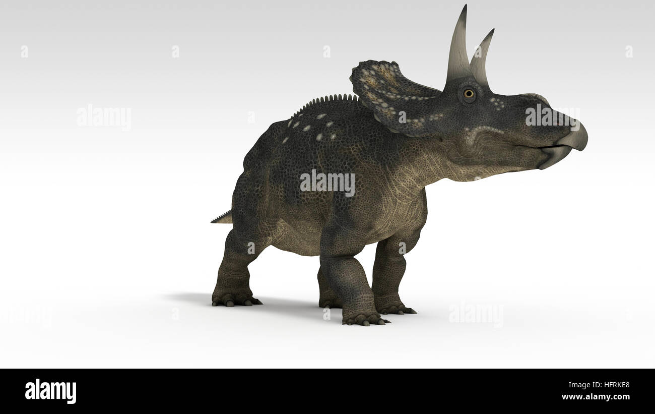 3d illustration of the diceratops isolated on white Stock Photo - Alamy