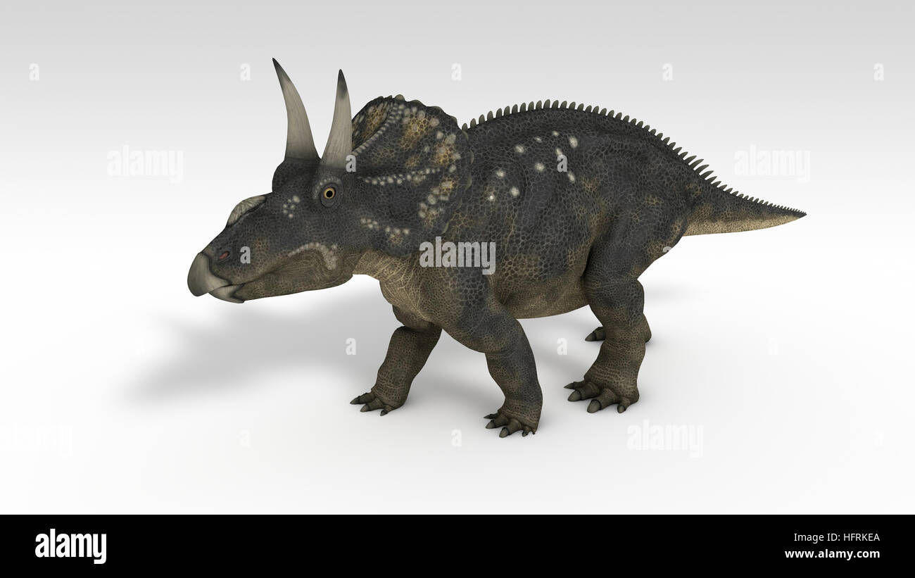 3d illustration of the diceratops isolated on white Stock Photo - Alamy