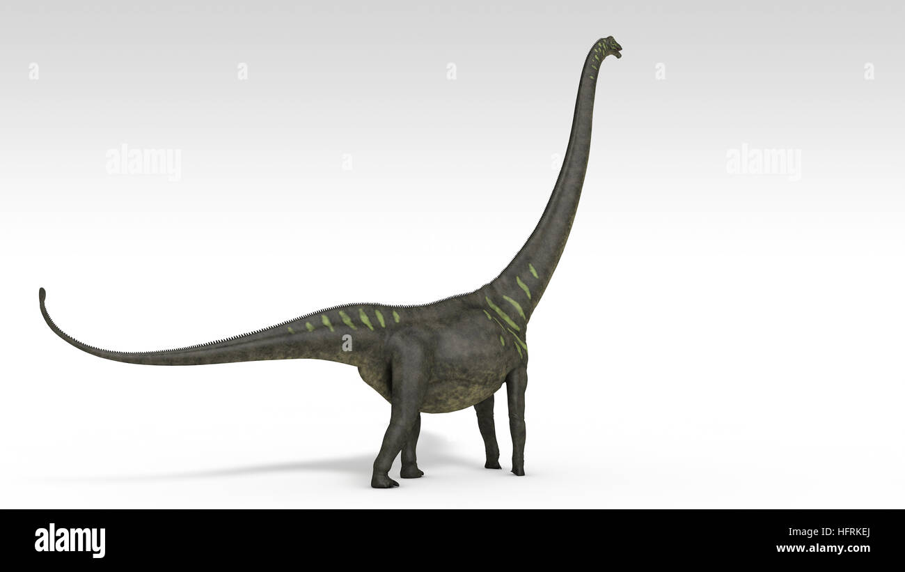Mamenchisaurus fossil hi-res stock photography and images - Alamy