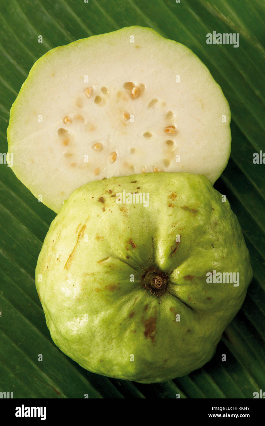 Guava (Psidium guajava), cut-open Stock Photo - Alamy