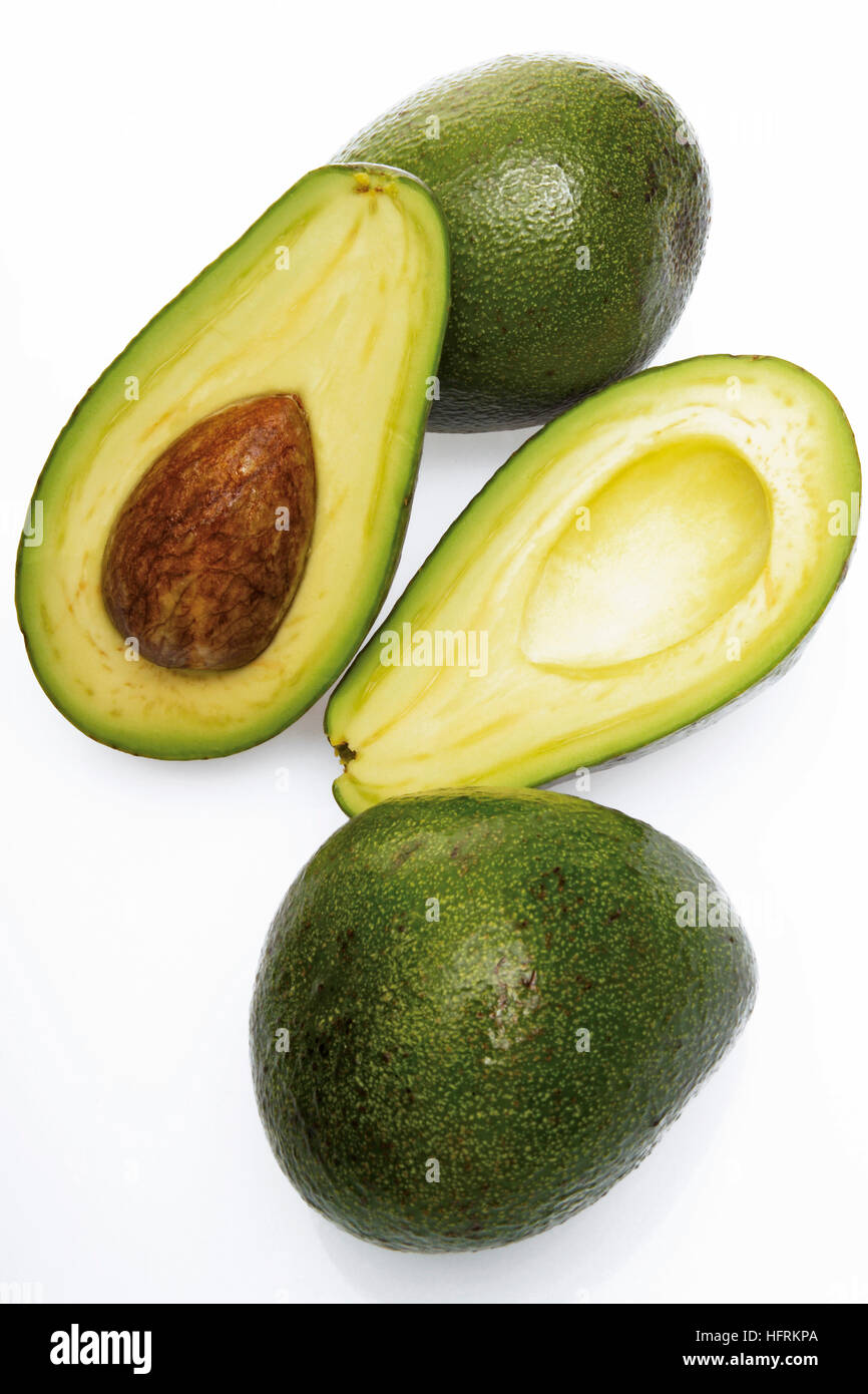 Avocados (Persea americana Stock Photo - Alamy