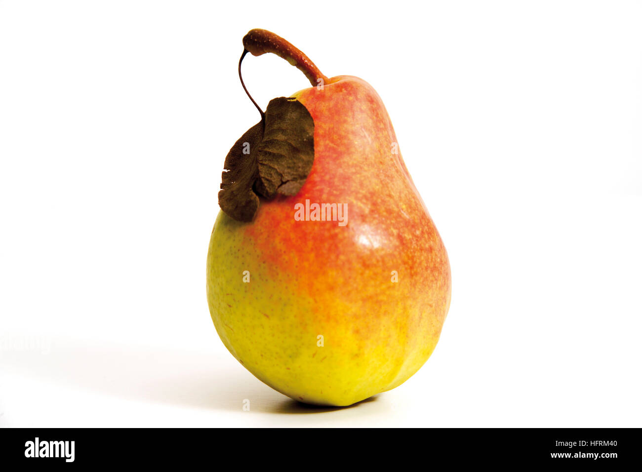 Pear, Williams Christ variety Stock Photo - Alamy