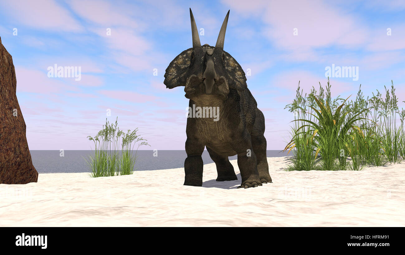 Diceraptor hi-res stock photography and images - Alamy