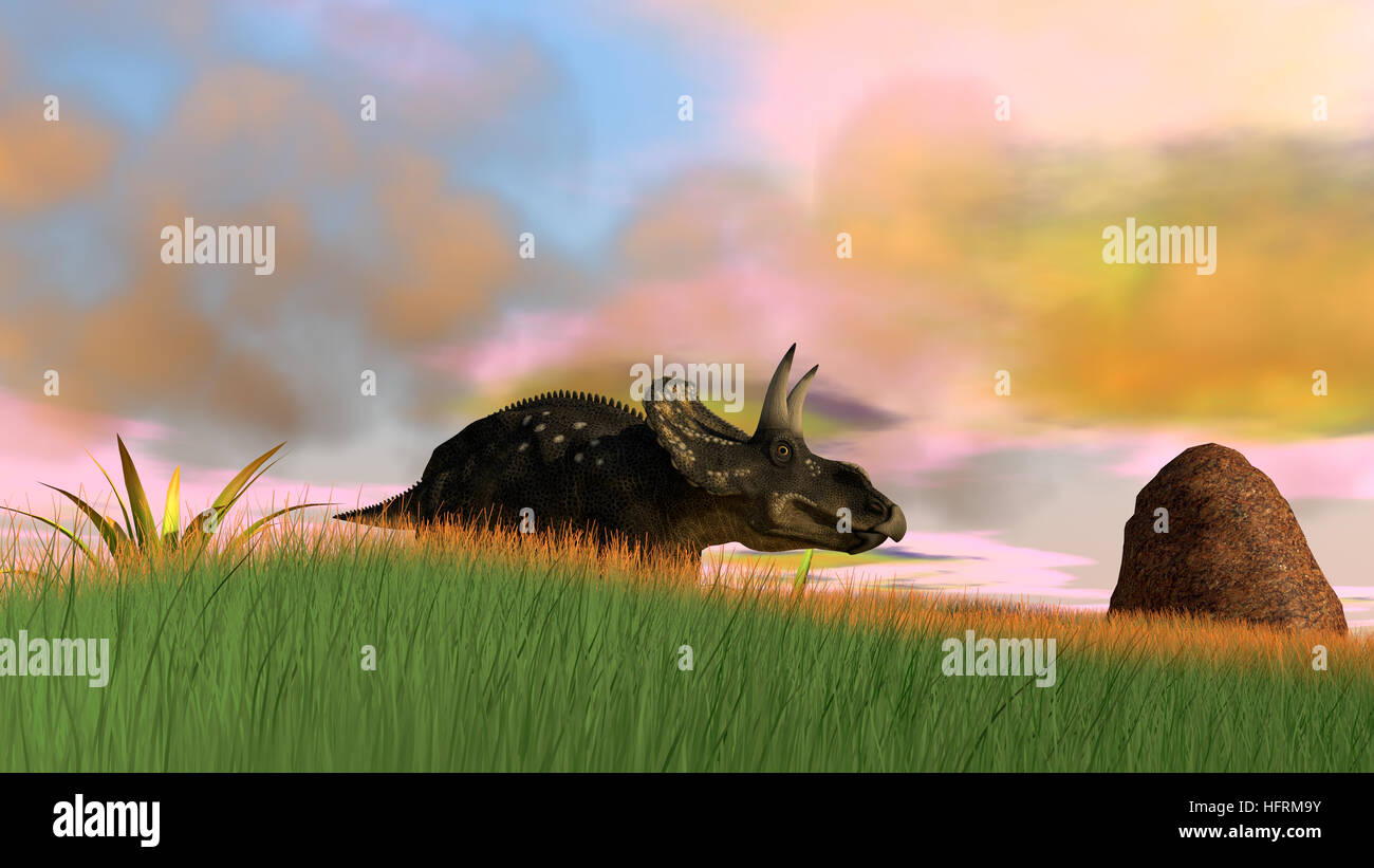 3d illustration of the walking diceratops Stock Photo - Alamy