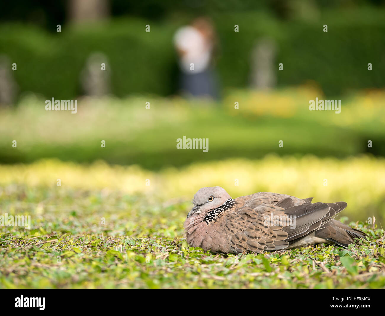 Take brush hi-res stock photography and images - Alamy