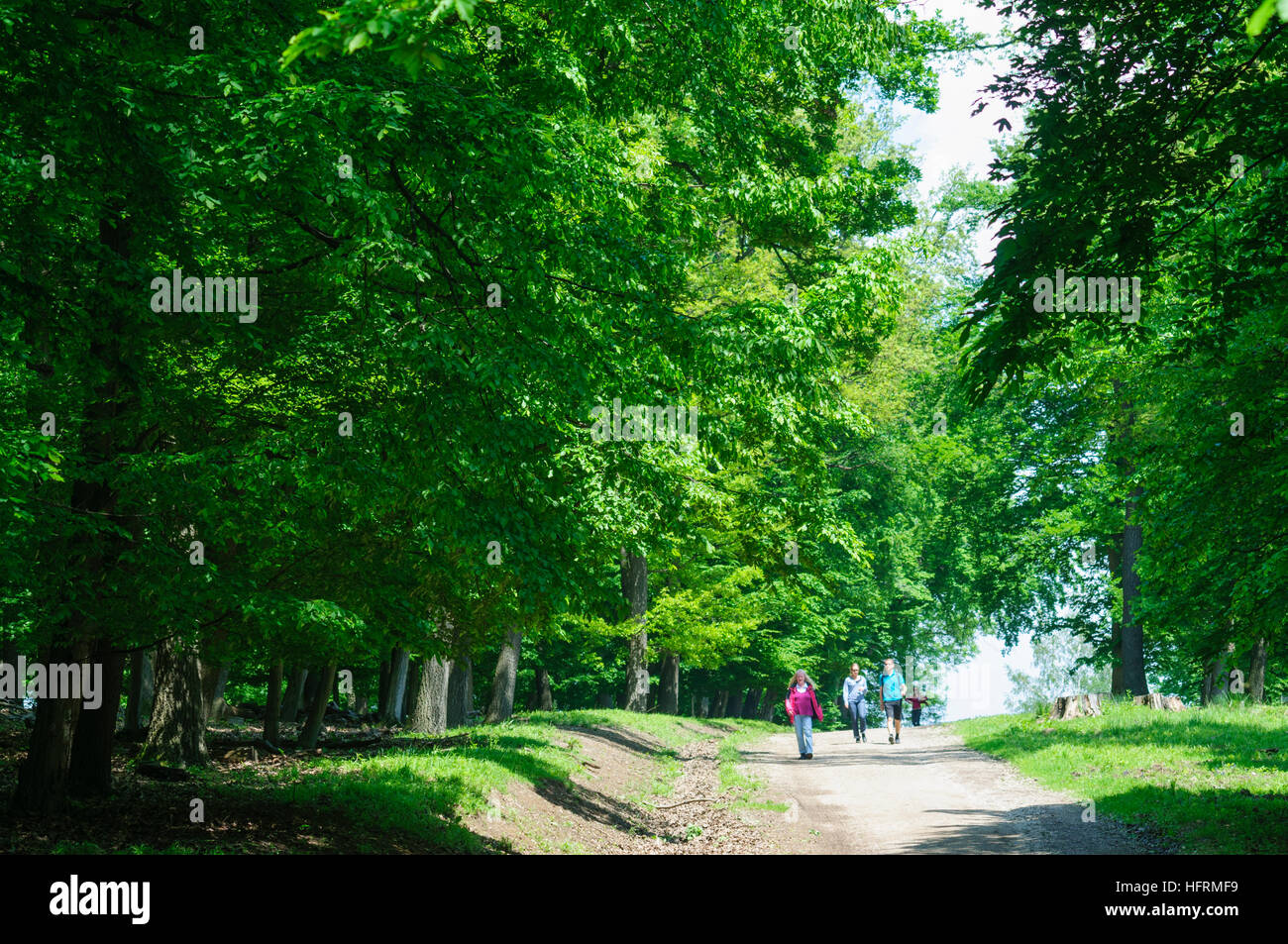 Lainzer tiergarten hi-res stock photography and images - Alamy
