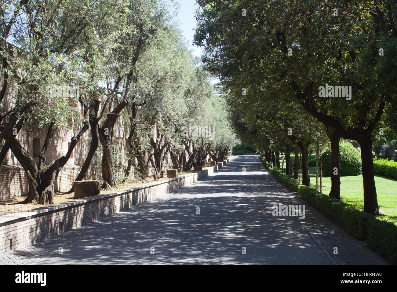 Gardens of the vatican city hi-res stock photography and images - Alamy