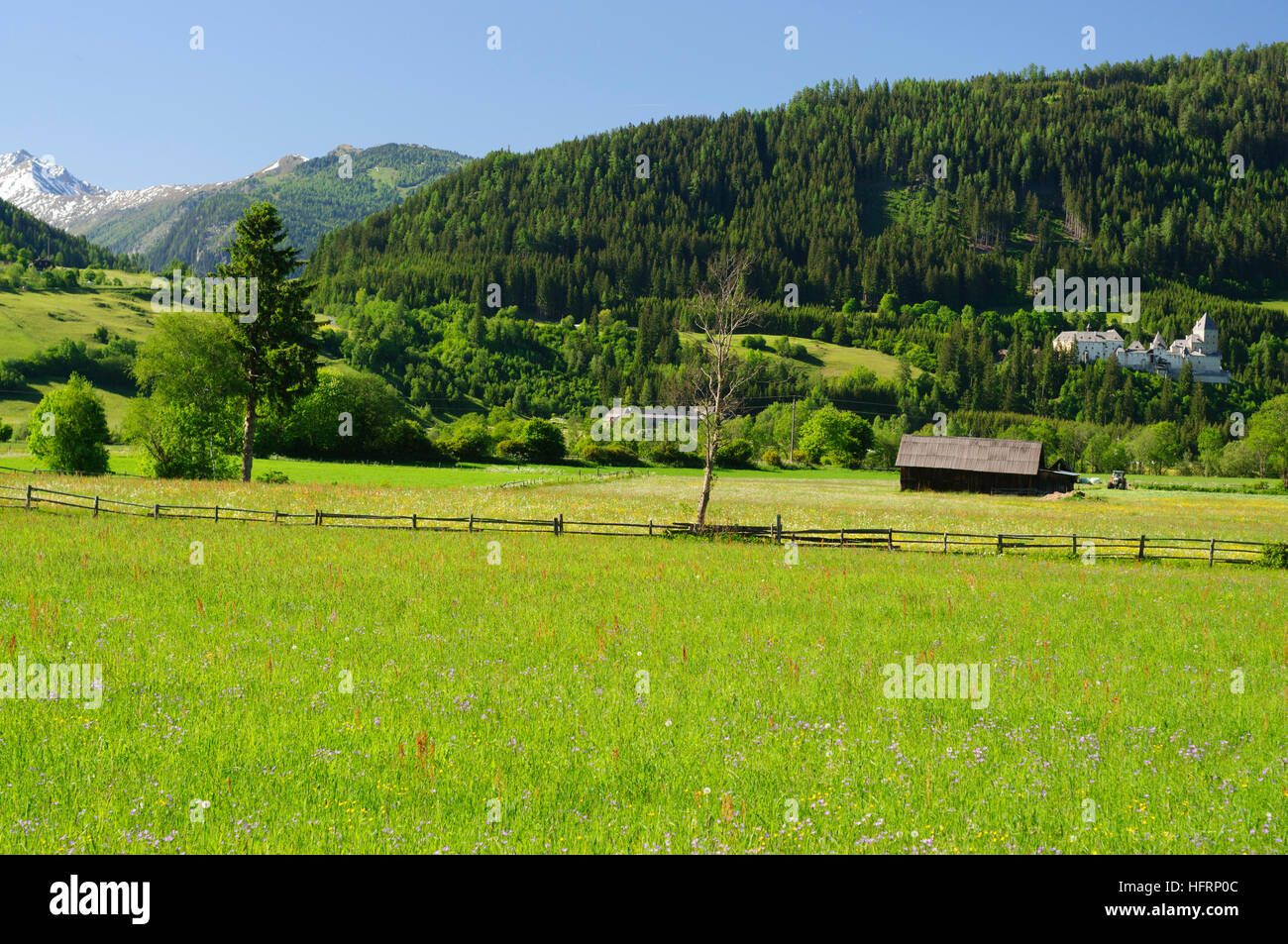 Moosham castle hi-res stock photography and images - Alamy