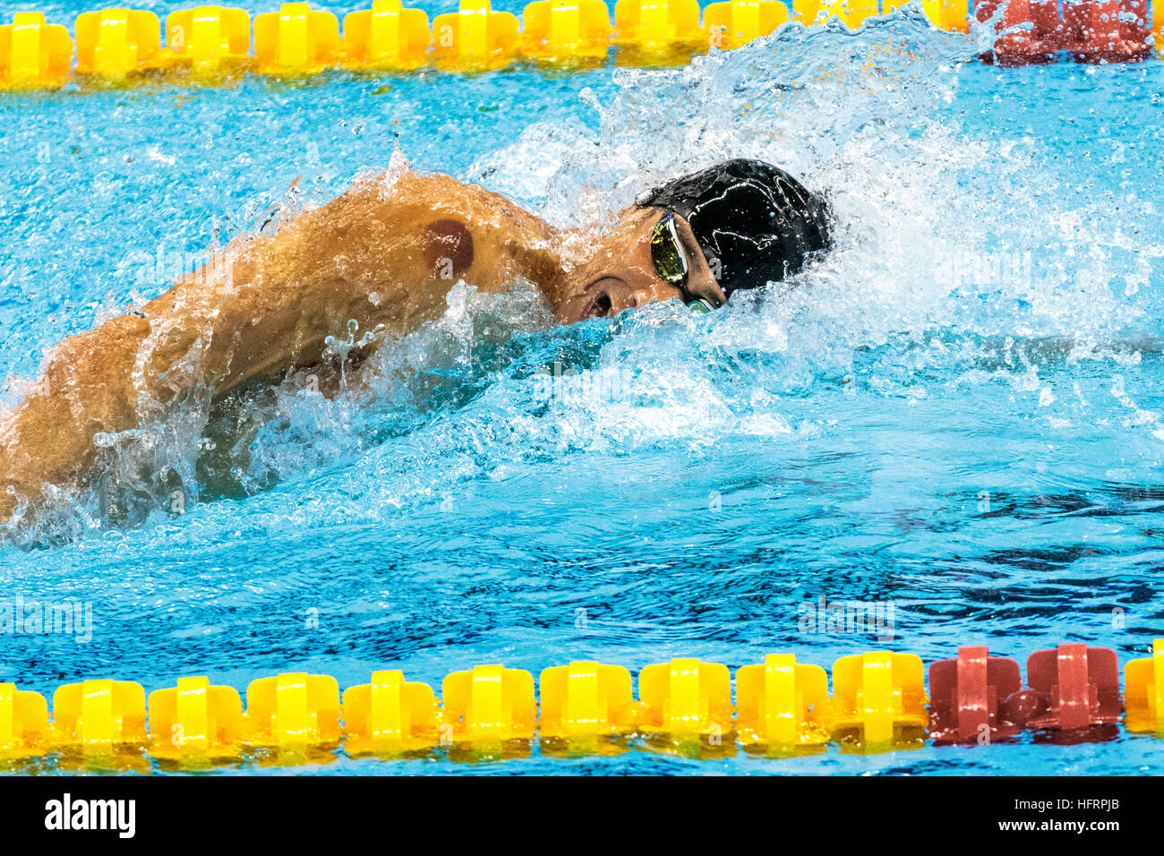 Michael Phelps Swimming Freestyle