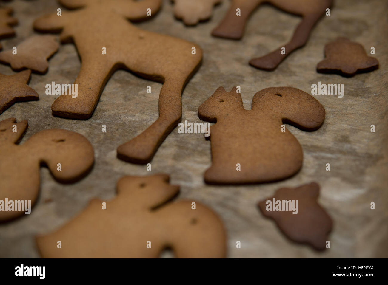 Cutted out hi-res stock photography and images - Alamy