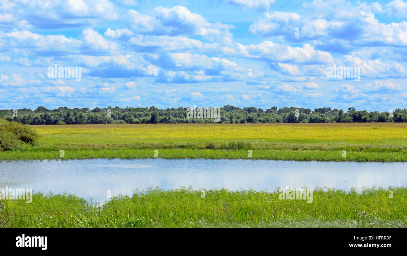 beautiful summer landscape with lake field and clouds. Nature with ...