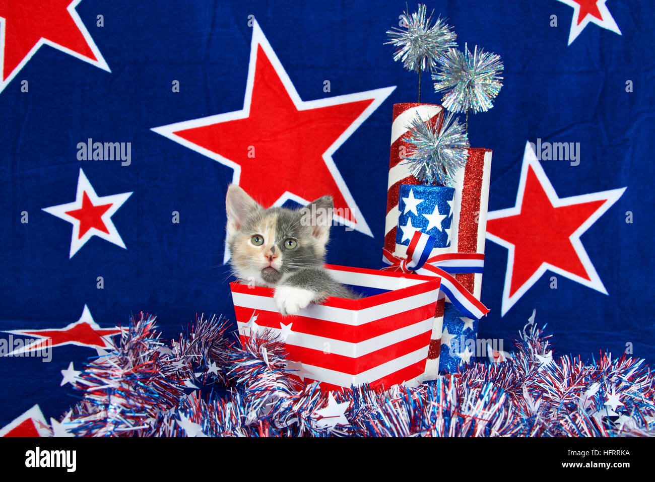 Patriotic Kittens
