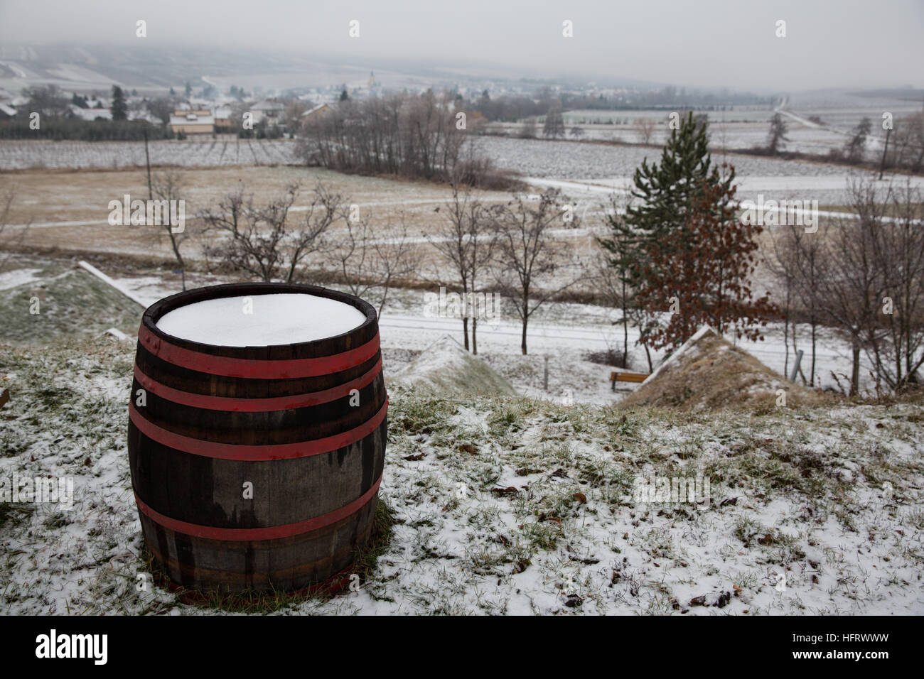 Tokaj wine cellar hi-res stock photography and images - Alamy