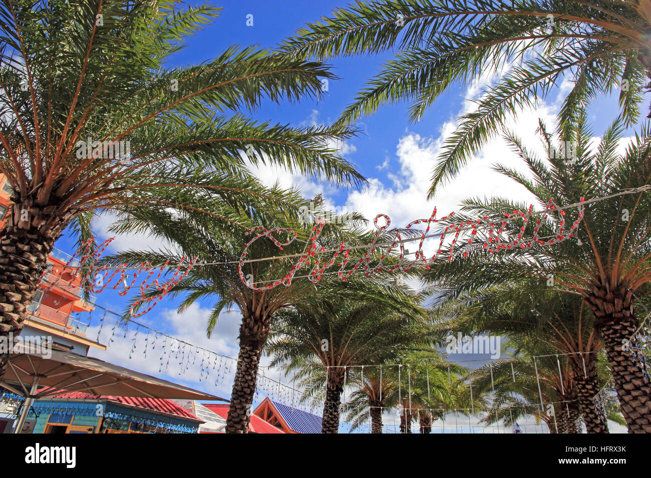 Merry Christmas lights strung between palm trees, Philipsburg, St ...