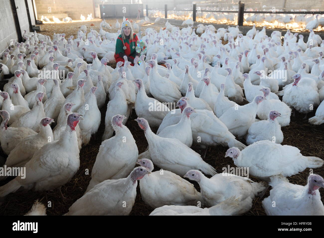 Jenny Hyett of Pound Farm Shop in Whaddon, near Gloucester, England has ...