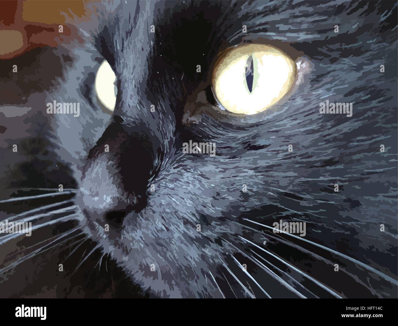 Black cat camera Stock Vector Images - Alamy