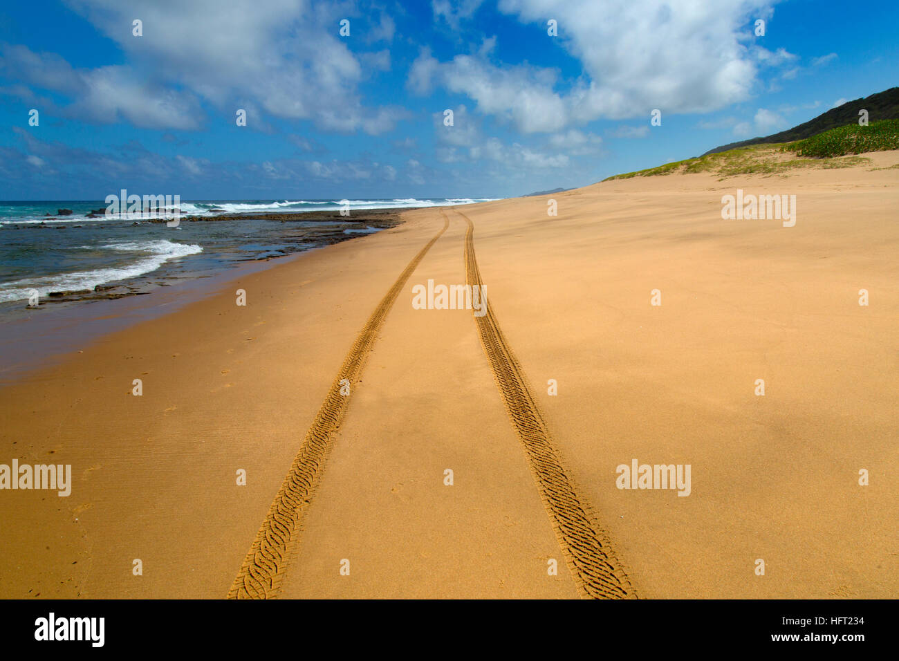 Tracks along Thonga Beach Indian Ocean coast of Maputuland in KwaZulu ...