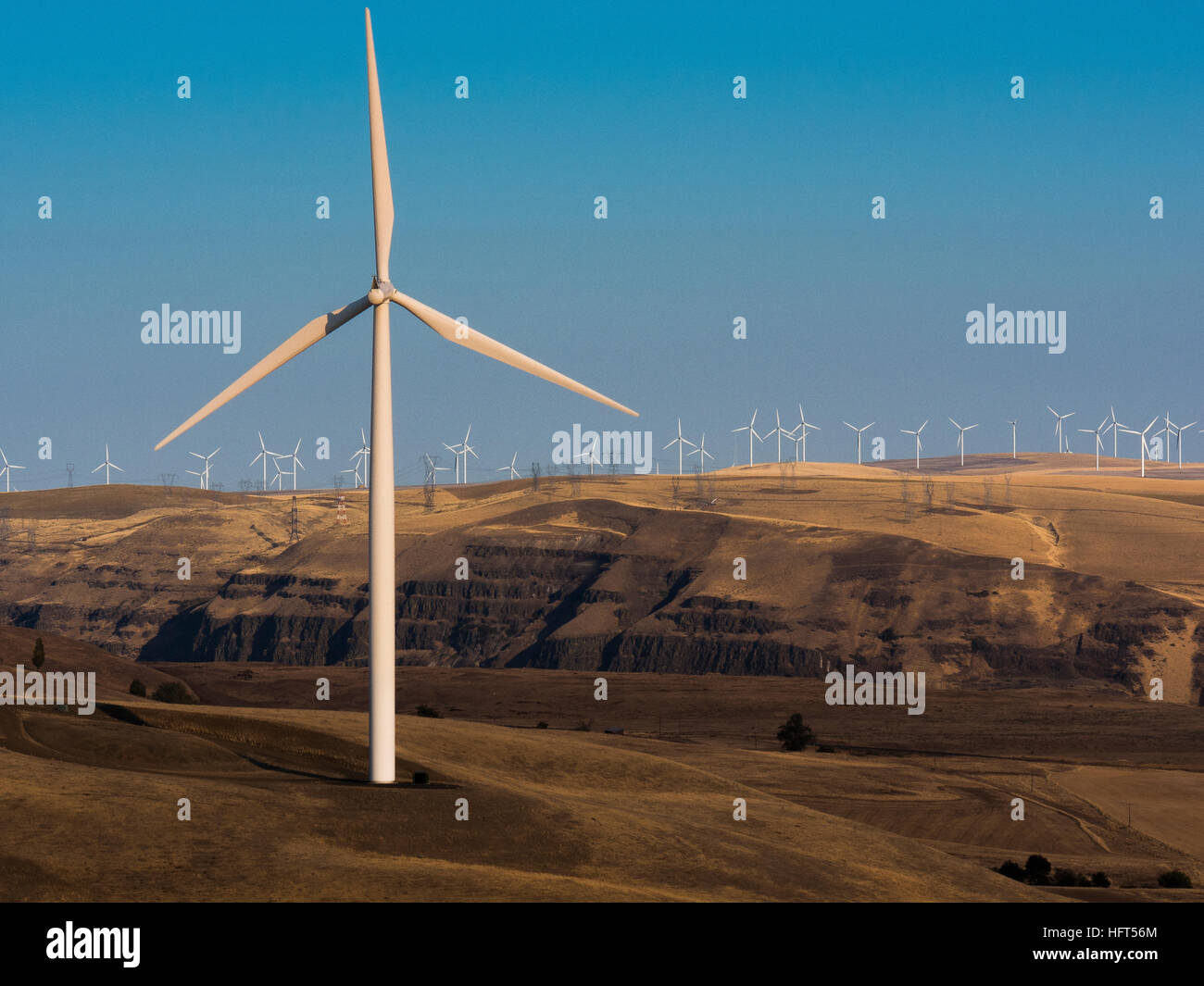 Wind turbines lining the hills in the high desert of eastern Washington ...