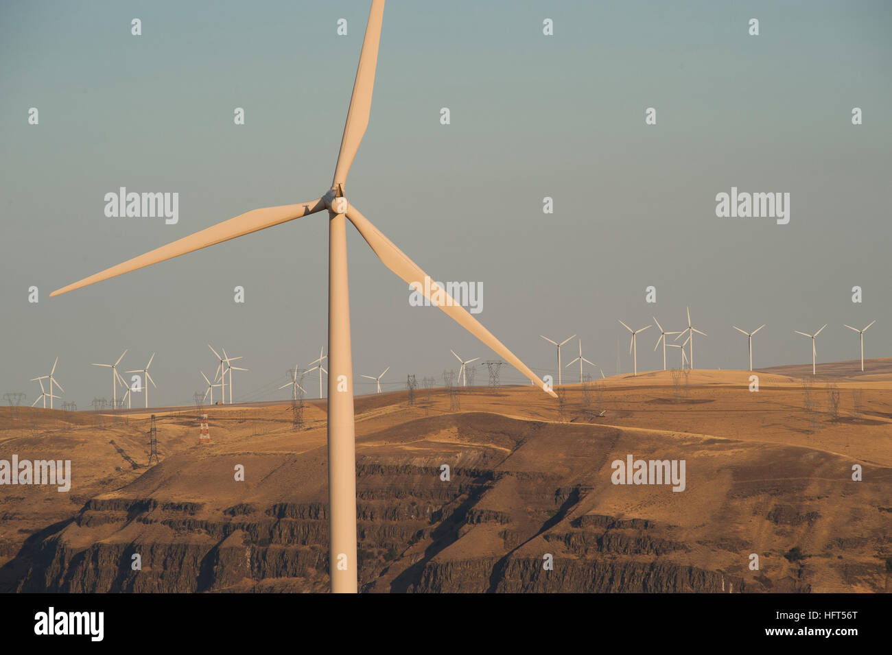 Wind turbines lining the hills in the high desert of eastern Washington ...