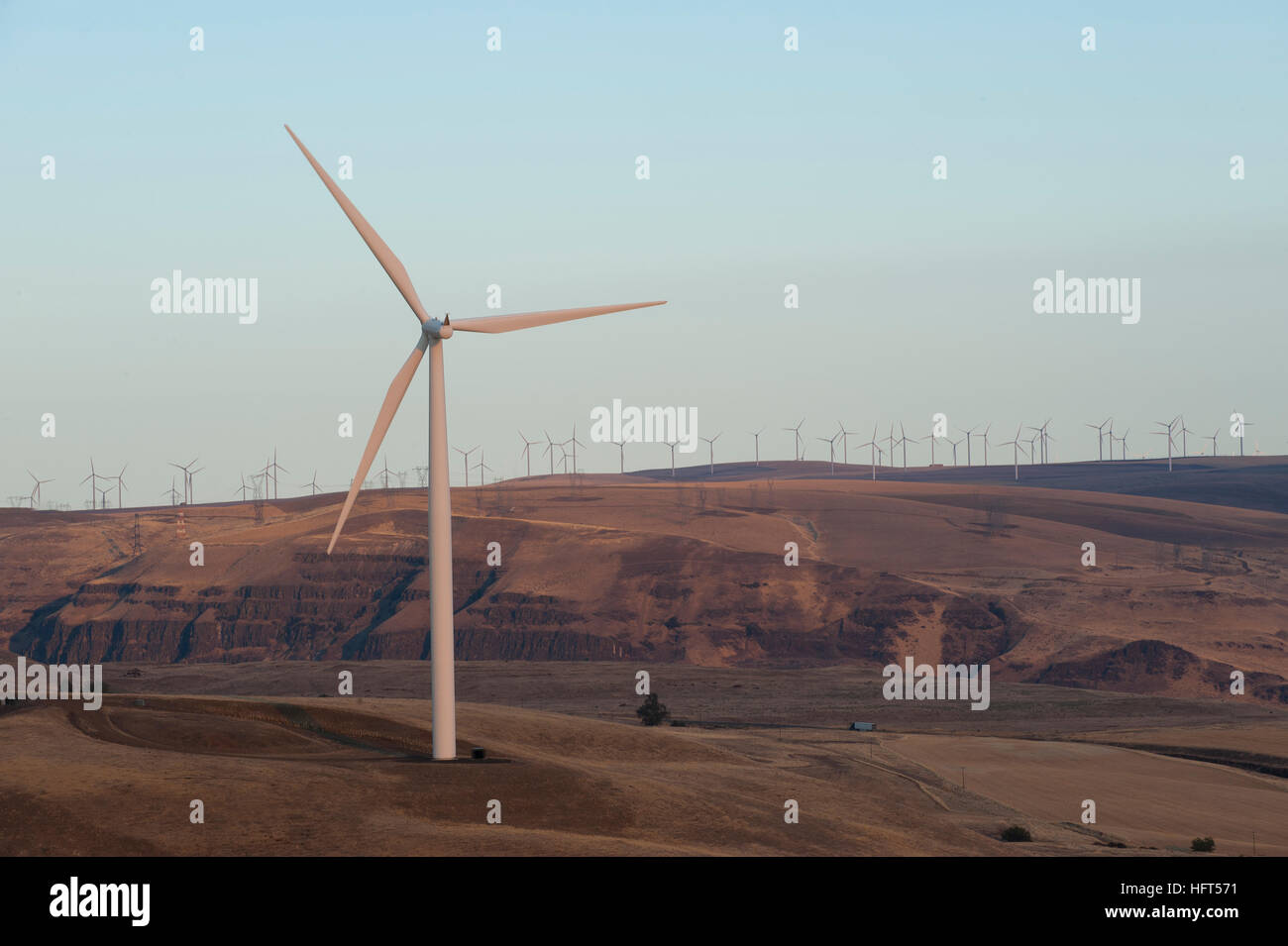 Wind turbines lining the hills in the high desert of eastern Washington ...