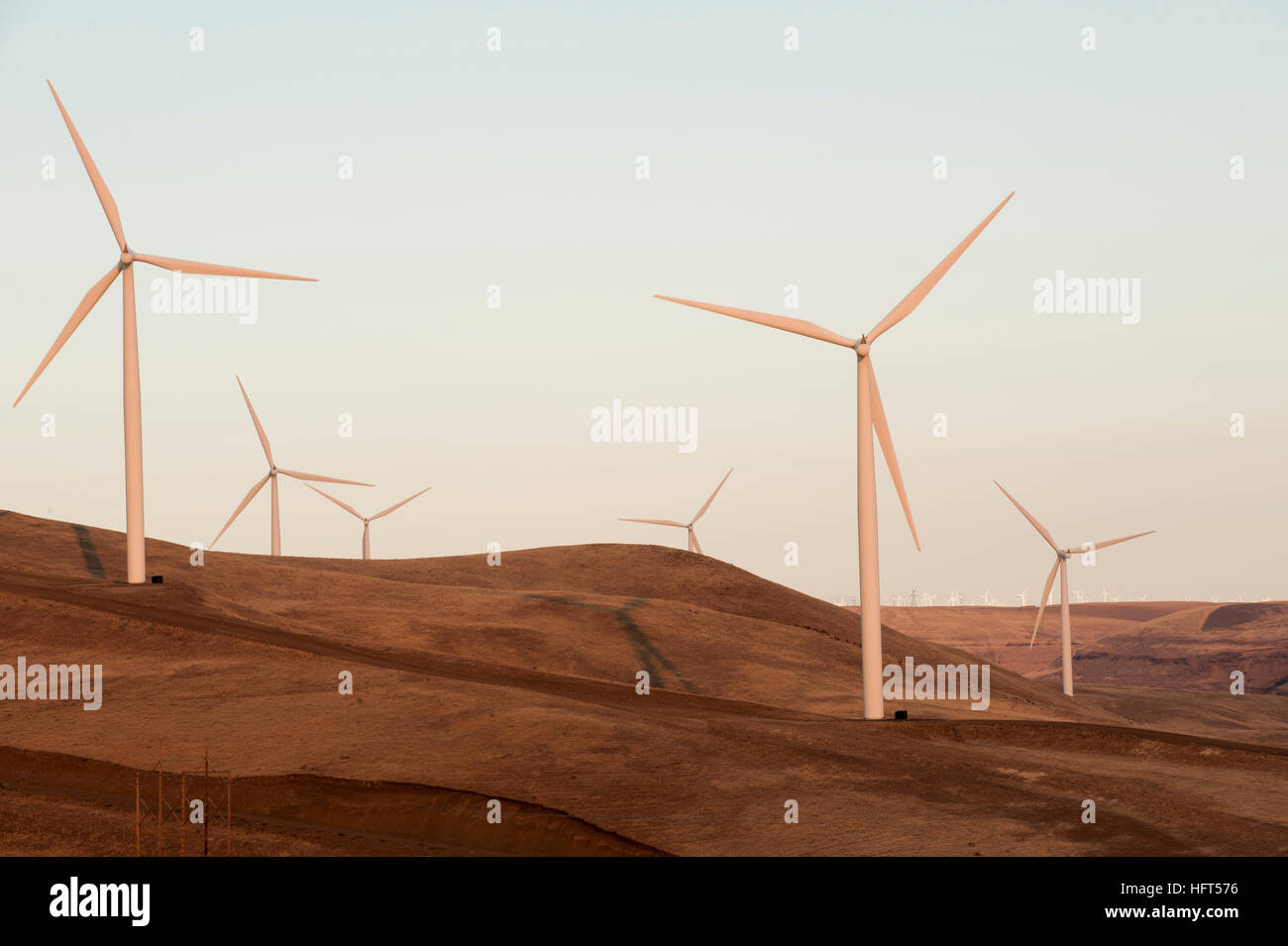 Wind turbines lining the hills in the high desert of eastern Washington ...