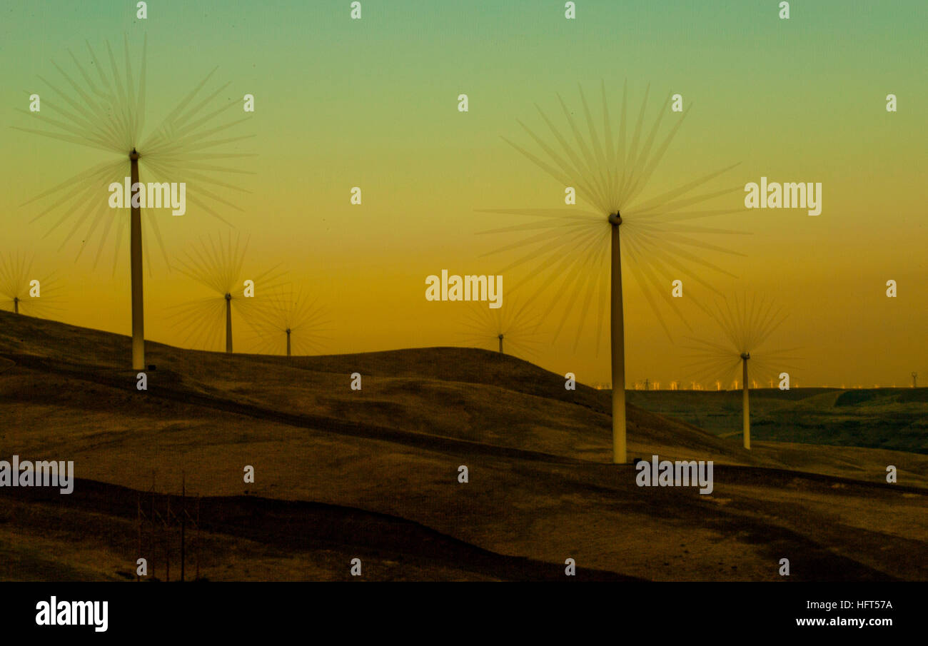 Wind turbines lining the hills in the high desert of eastern Washington ...