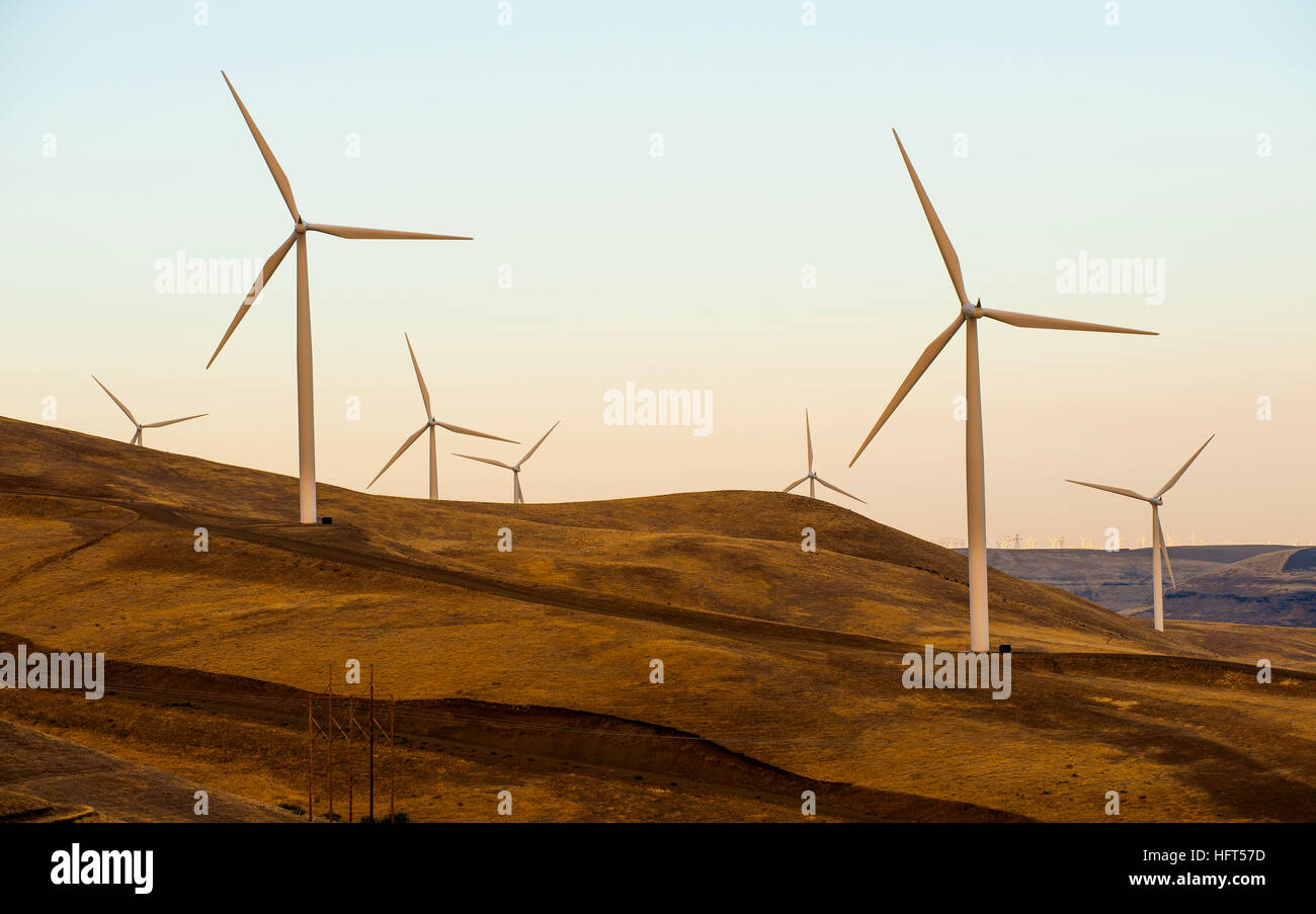 Wind turbines lining the hills in the high desert of eastern Washington ...