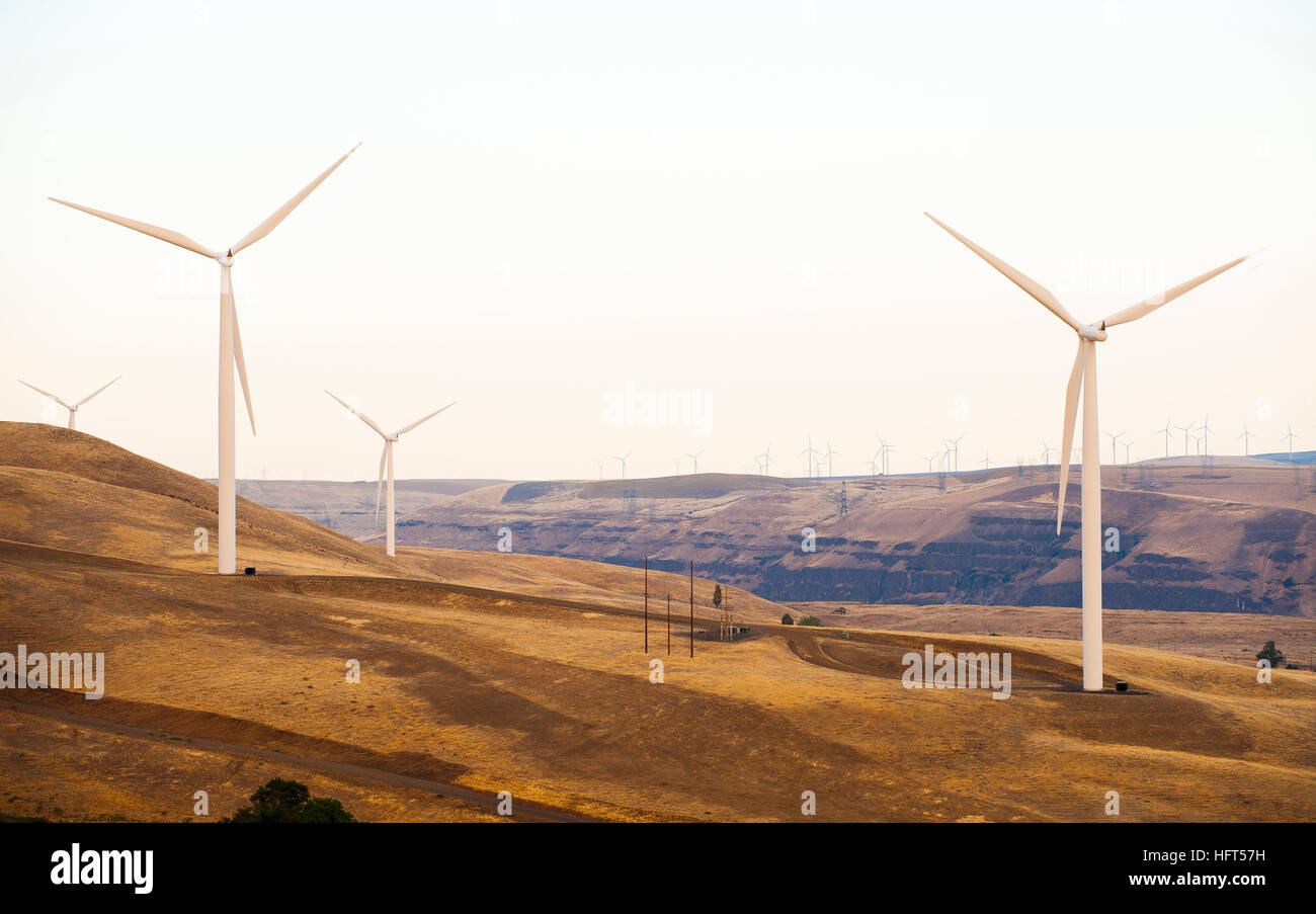 Wind turbines lining the hills in the high desert of eastern Washington ...