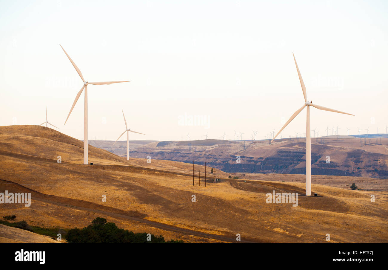 Wind turbines lining the hills in the high desert of eastern Washington ...