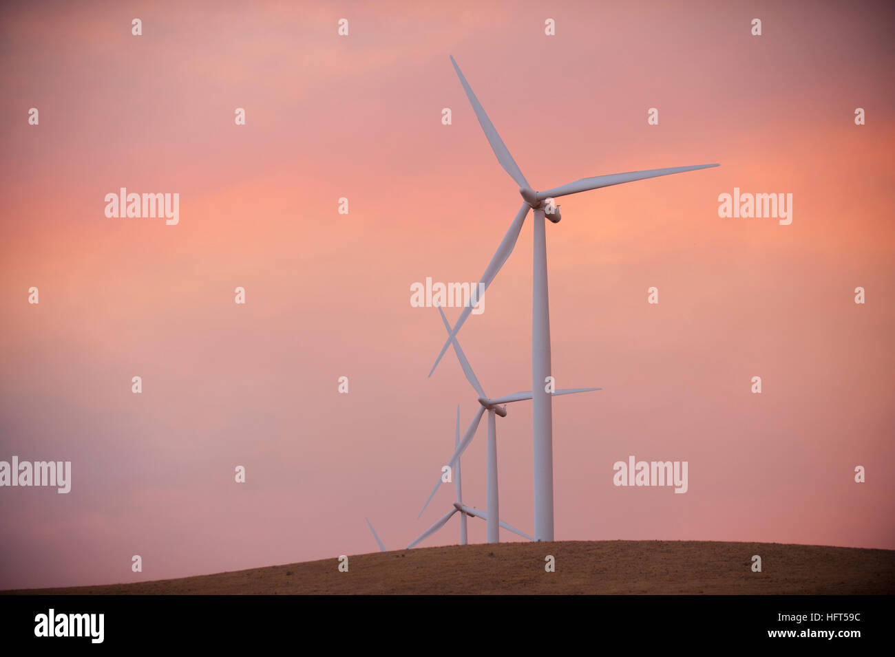 Wind turbines lining the hills in the high desert of eastern Washington ...