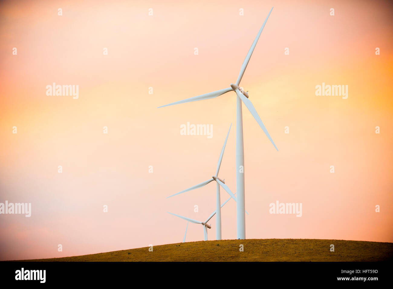 Wind turbines lining the hills in the high desert of eastern Washington ...